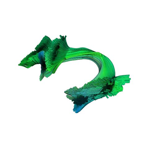 Buan Bundle Assignment Maps Creation — Dipy 1110 Documentation