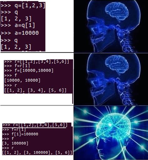 Pythonirl Rprogrammerhumor