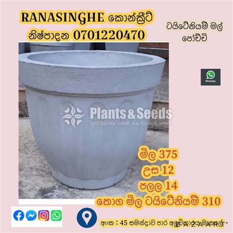 Titanium Flower Pots Plants And Seeds