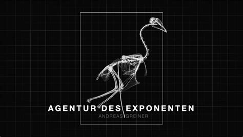 Motion Design Behance