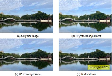 Figure 1 From Robust Image Hashing Via Cp Decomposition And Dct For Copy Detection Semantic