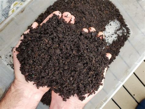 How To Harvest Worm Castings From A Simple Worm Compost Bin Worm Composting Organic Plant