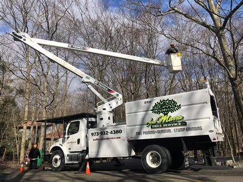 Pruning And Trimming Are Similar But Not The Same Learn More