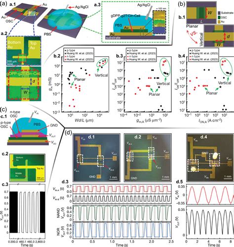 Advanced Neuromorphic Applications Enabled By Synaptic Ion‐gating Vertical Transistors Merces