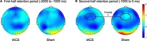 Frontiers Neurodynamic Correlates For The Cross Frequency Coupled Transcranial Alternating
