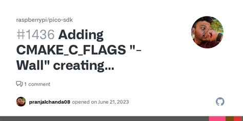 Adding CMAKE C FLAGS Wall Creating Assembler Failures Issue Raspberrypi Pico Sdk