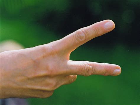 Free Ching Chong Cha 1 Stock Photo - FreeImages.com