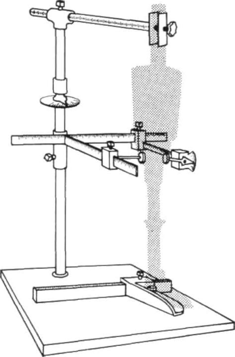 Schneiders Alignment Stand Download Scientific Diagram