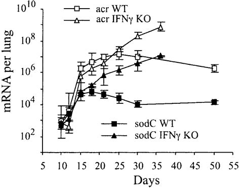 Quantitation By Molecular Beacon Real Time Rt Pcr Of Selected Mrnas Of