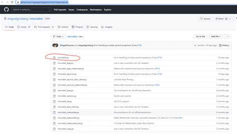 Develop MicroPython Application Using MicroDot Donskytech