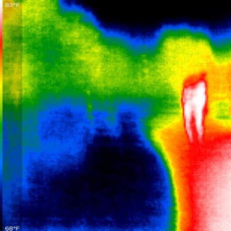 Train Object Detection Dataset And Pre Trained Model By Dissertation