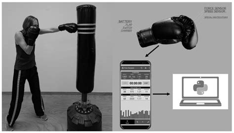 Applied Sciences Special Issue Analytics In Sports Sciences State Of The Art And Future