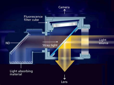 Eclipse Ni Series Upright Microscopes Microscope Products Nikon