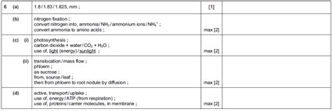 IGCSE Biology Size Of Specimens IGCSE Style Questions Paper