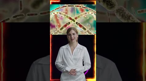 Scientists Discover Cellular Sensor That Wakes Up Dormant Bacteria After Centuries Go It