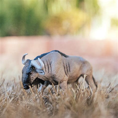 Wildebeest Toy Realistic Blue Wildebeest Model From Safari Ltd