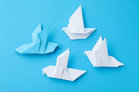 국제 평화의 날 또는 세계 평화의 날 평화 비둘기의 상징 프리미엄 사진