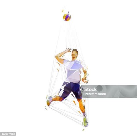 배구 선수 낮은 폴리 절연 벡터 그림입니다 기하학적 팀 스포츠 아틀레트 배구에 대한 스톡 벡터 아트 및 기타 이미지 배구 개념 개념과 주제 Istock