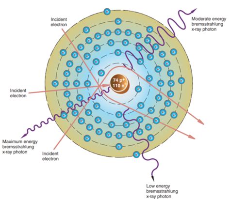Chapter 8 Flashcards Quizlet
