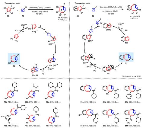 Molecules Free Full Text Skeletal Editing Ring Insertion For Direct Access To Heterocycles
