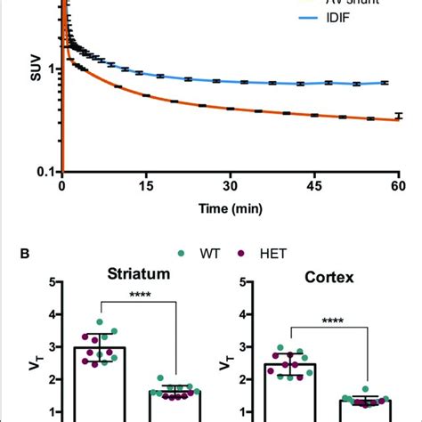 comparison of invasive and noninvasive input functions for [ 11