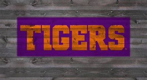 Clemson Tigers Stencil Kit The Tailgater Cloos 303 Clemson Stencil Tiger Stencil Stencils