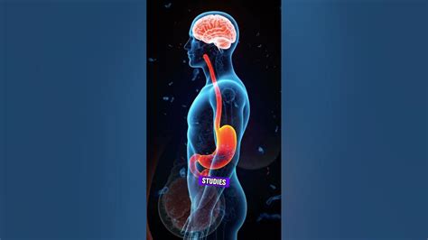 Microsplastics Exposed Are They Poisoning Your Body Shorts