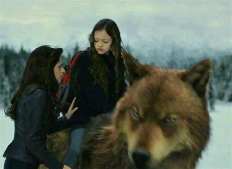 I Love Twilight Twilight Renesmee Twilight Wolf Twilight Movie