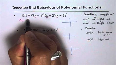 the ultimate guide to understanding the end behavior of polynomial