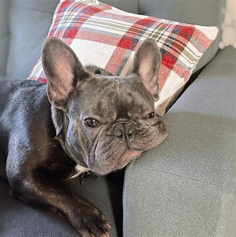 Reki And Remy “shallowing” Is The Latest Sex Trend That Facebook