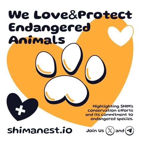 Shimanest Shima Kyc Certificate