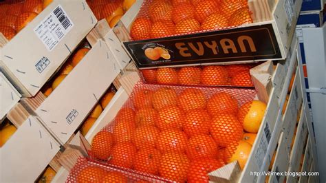 Foto Blog Der Firma Vitimex Gmbh Sp Mini Clementinen Sp Mini Clementines