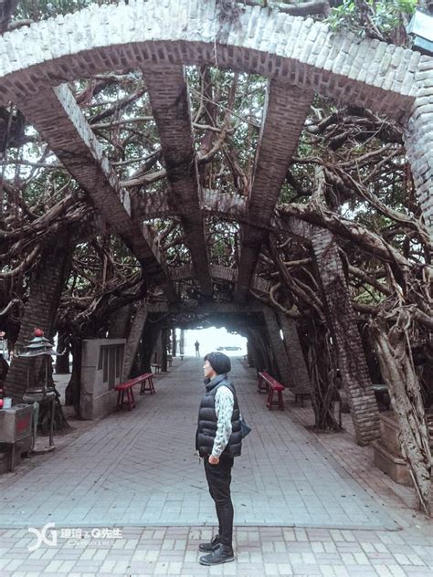 【澎湖景點】通樑古榕 最壯觀的老榕樹 300年的盤根錯節 澎湖旅遊推薦 冬遊夏游都適合 瑄g玩宇宙 瑄瑄 ＆ G先生