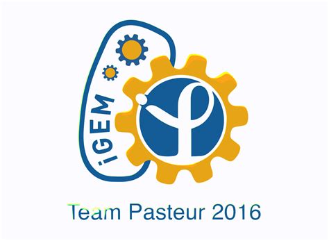 Teampasteur Parisoverview