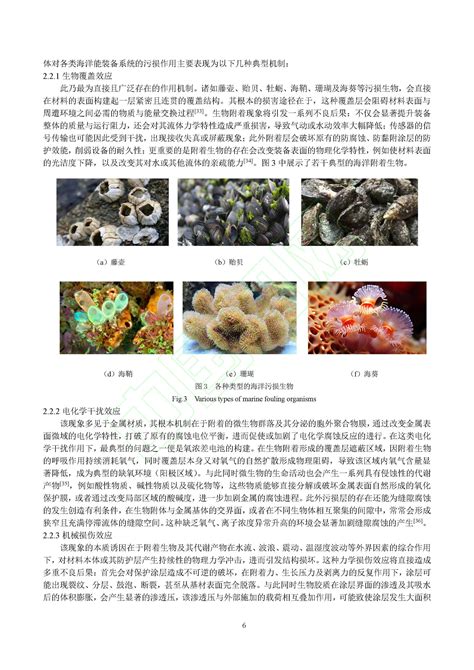 海洋能装备防腐与抗生物污损技术的研究进展
