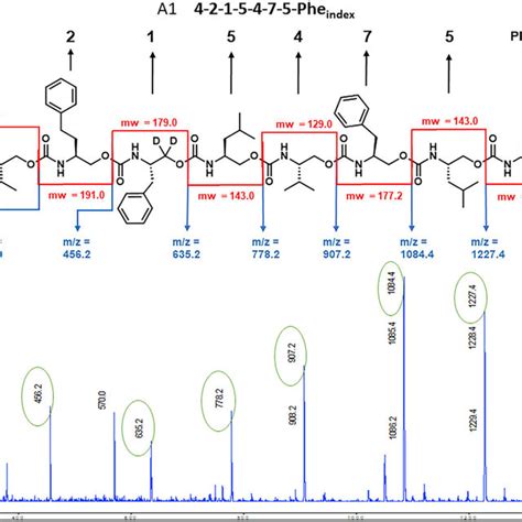 Reading The Sequence Of The Oligomer Download Scientific Diagram
