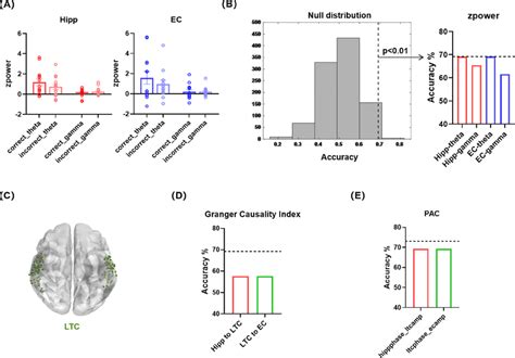 Control Analyses Based On The Spectral Power Of The Hipp And Ec And