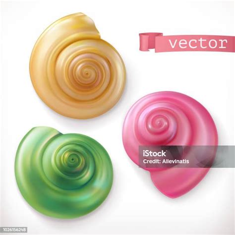 포탄 달팽이 3 차원 벡터 아이콘 세트 조개 껍데기에 대한 스톡 벡터 아트 및 기타 이미지 조개 껍데기 3차원 형태 벡터 Istock
