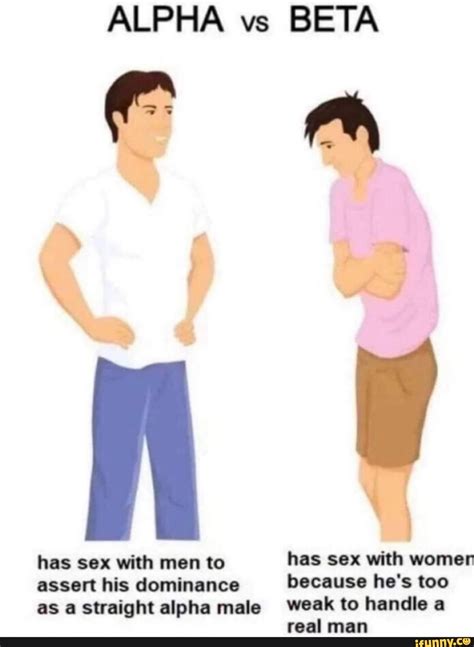 Alpha Vs Beta N Has Sex With Men To Has Sex With Women Asson His Dominance Because He S Too As