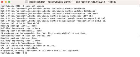 How To Set Up A Firewall With Ufw On Ubuntu 2310 Devtutorial