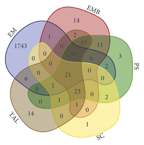 Overlaps Between Different Gene Sets A Overlaps Between Em Diseases Download Scientific
