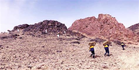 БИОТЕХНИКИЙН АРГА ХЭМЖЭЭ НИЙ ХОЁР ДАХЬ ШАТНЫ АЖЛЫГ ЗОХИОН БАЙГУУЛЛАА