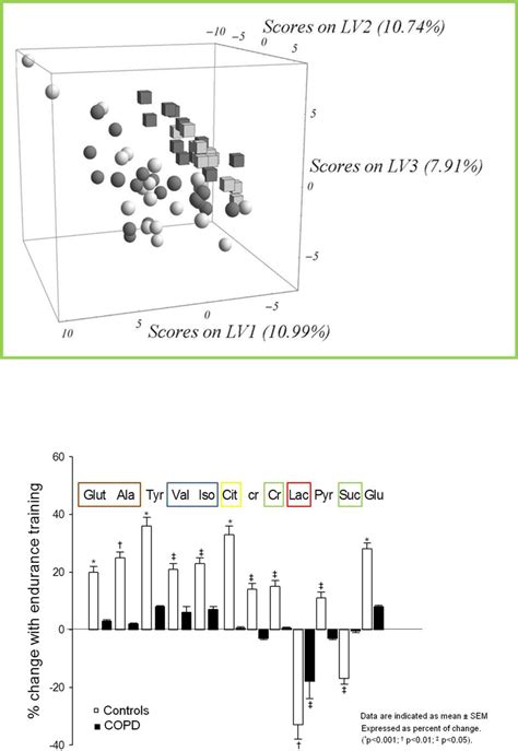 Metabolic Analysis Upper Panel Resting Individual Metabolic Profiles Download Scientific