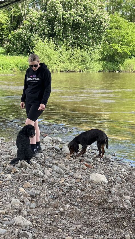 Emma Beasley On Linkedin Growth Businessjourney Valleywagscumbria