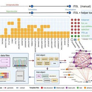 Helper Tools Comparison And Main Workflows Of Itol Toolkit Package A
