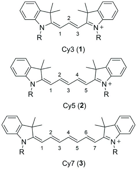 Molecular Structures Of The Cy3 1 Cy5 2 And Cy7 3 Download