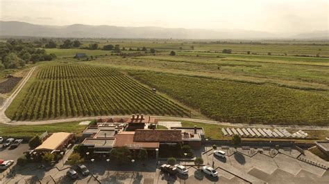 ბადაგონი • Badagoni