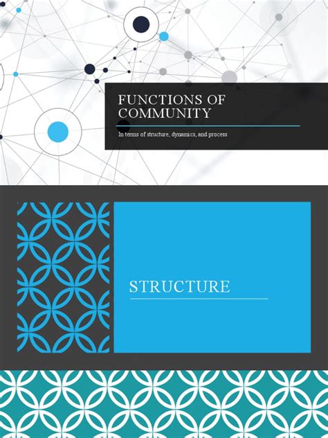 Functions Of Community Pdf System Community