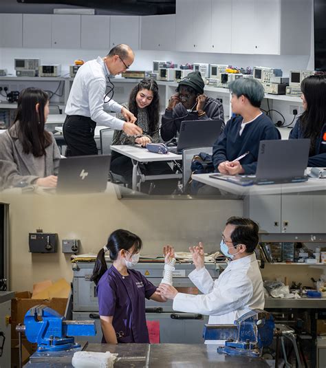 Bachelor Of Science Honours In Biomedical Engineering Programme Overview Department Of