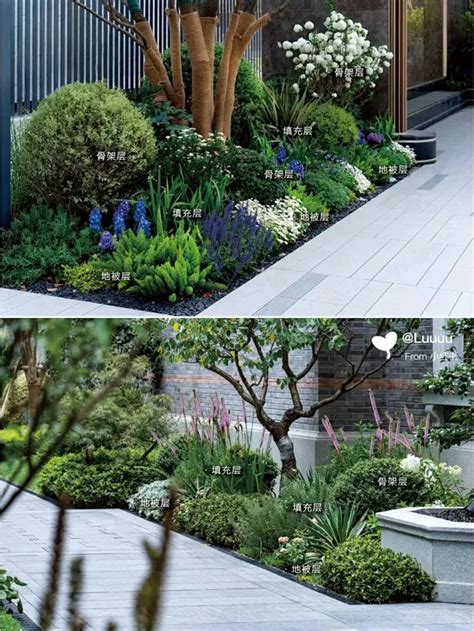 混合花境的搭配方法 花瓣网